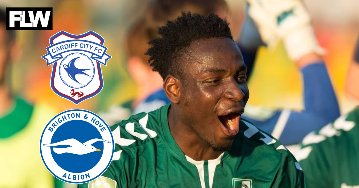 Cardiff City: Brighton in race to sign Philip Otele
