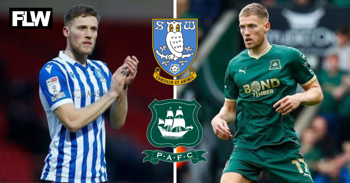 Sheffield Wednesday will be looking jealously at Plymouth's Lewis Gibson