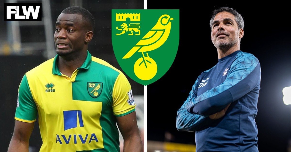 Norwich City: Seb Bassong backs David Wagner