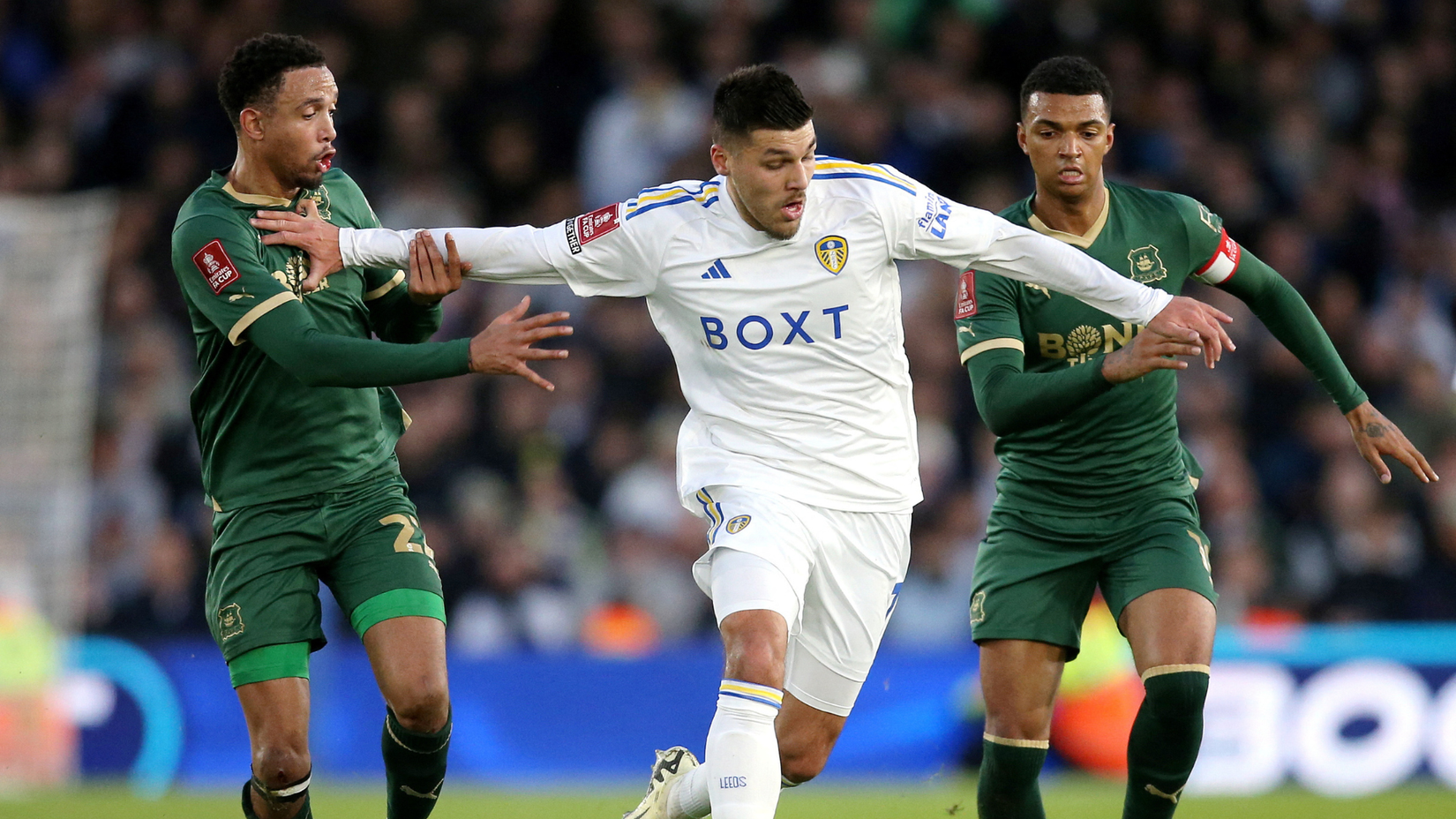 "Many supporters will be concerned" - Claim dropped on Plymouth Argyle ...