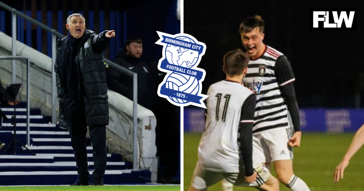 Birmingham City is the ideal destination for Darryl Carrick - ask Jude ...