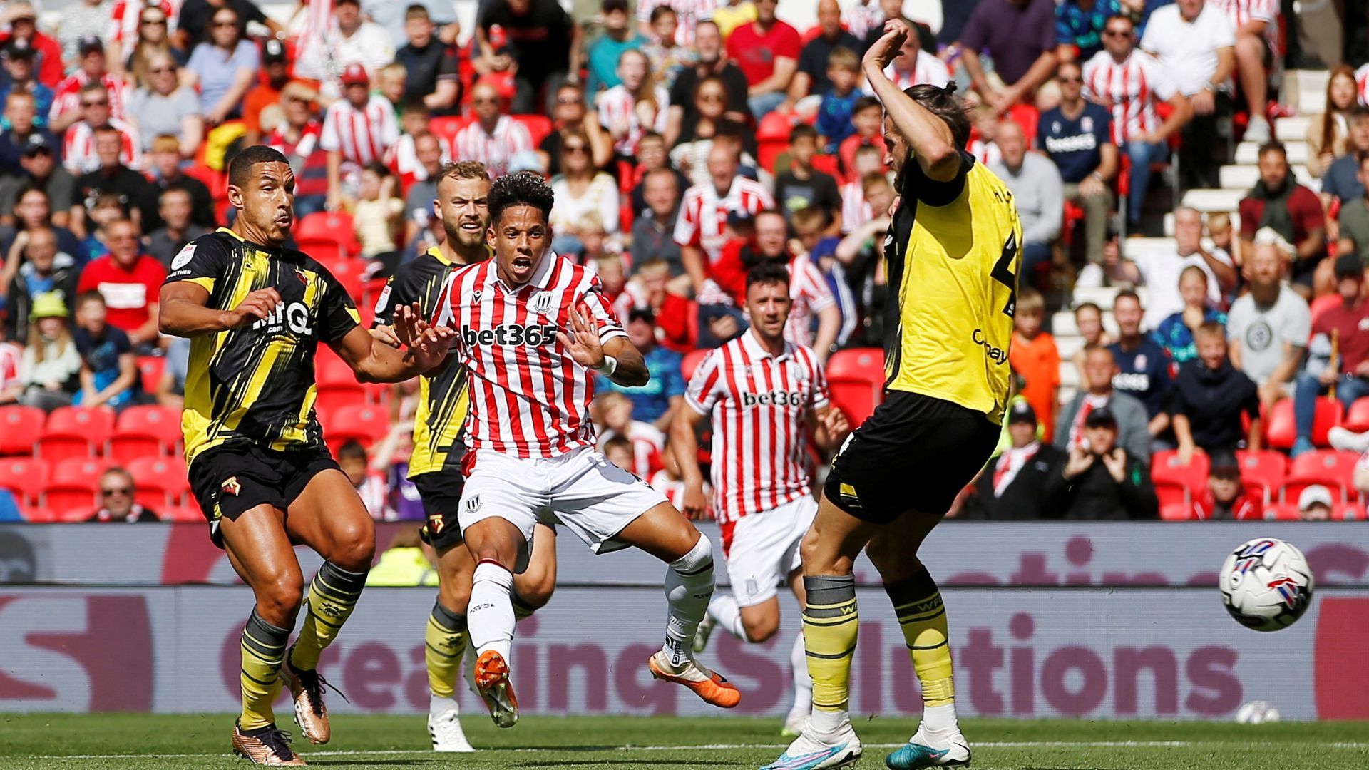 Stoke City: Steven Schumacher must help André Vidigal