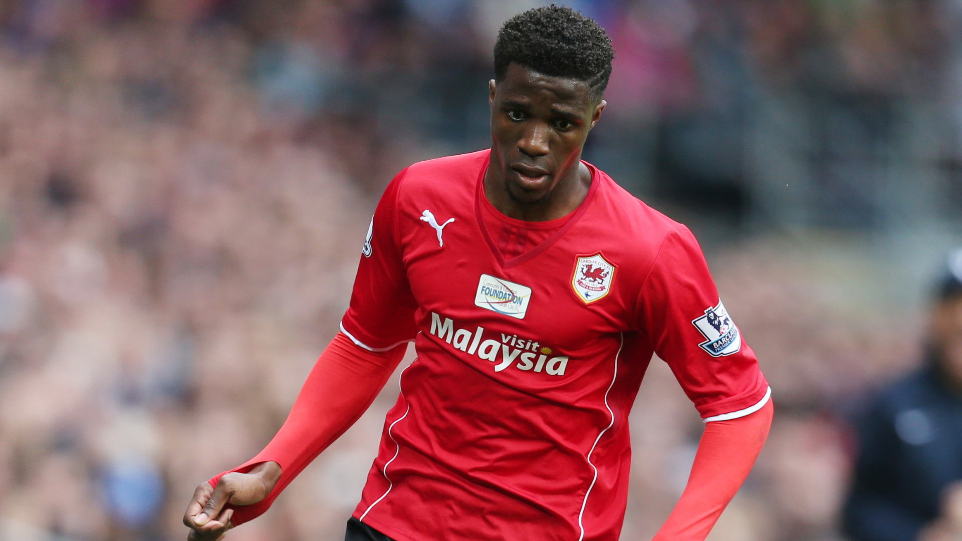 Cardiff will always ask questions of ill-fated Man Utd, Wilfried Zaha ...