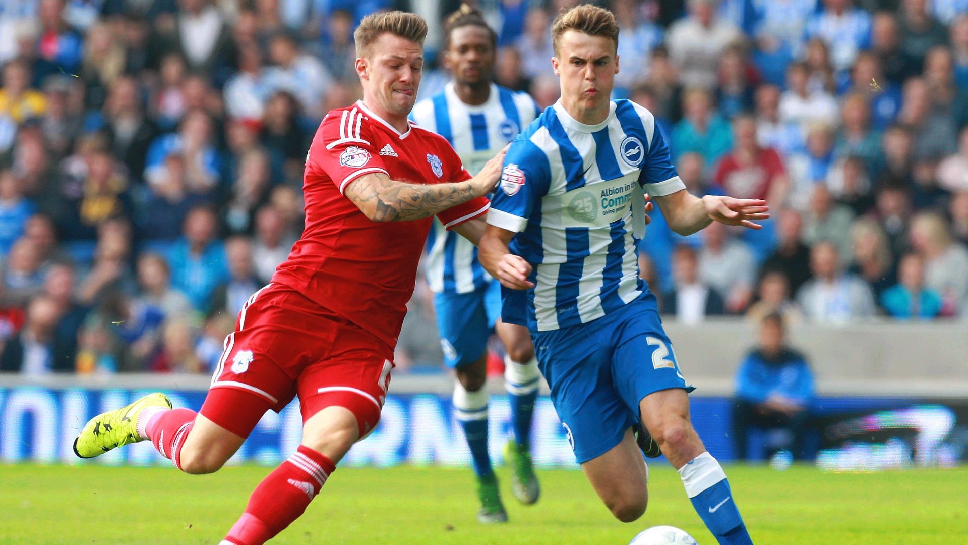 Huddersfield and Norwich benefitted from Stockport County's Anthony ...