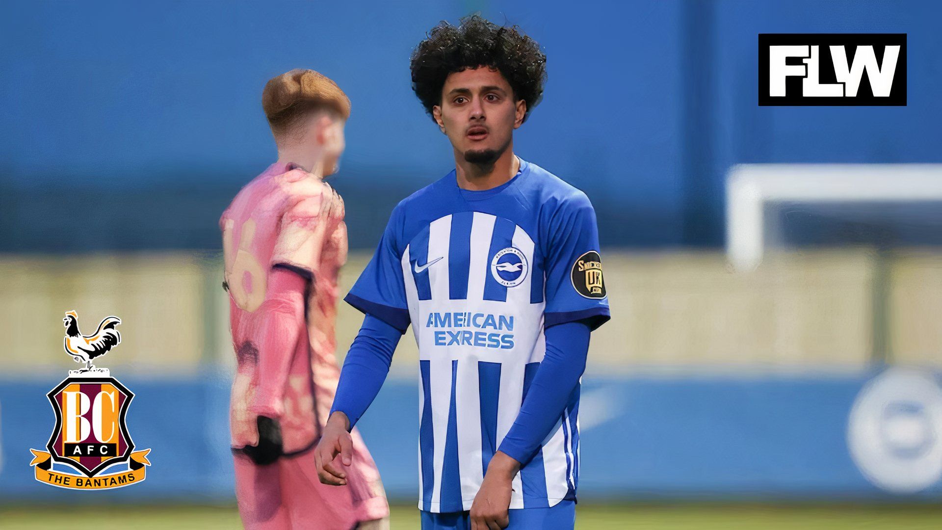 Bradford City should consider Brighton's Sahil Bashir this summer
