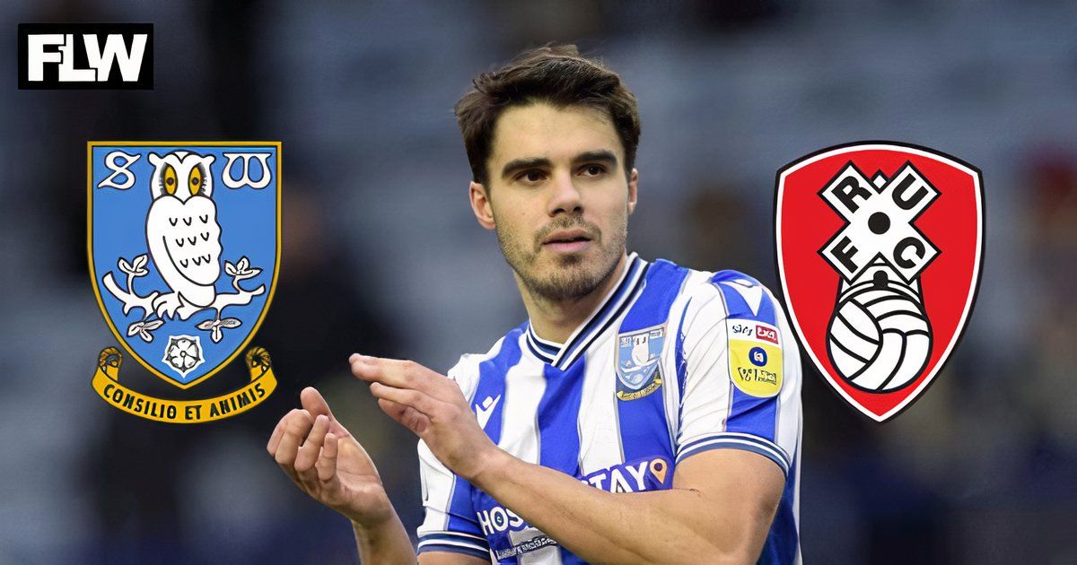 Rotherham United in transfer pursuit for Sheffield Wednesday defender ...