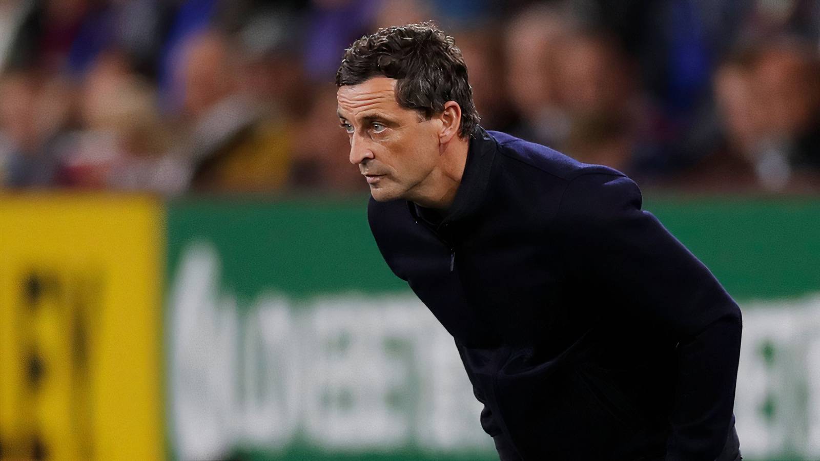 Ex-Sunderland boss Jack Ross lands new job at Newcastle United
