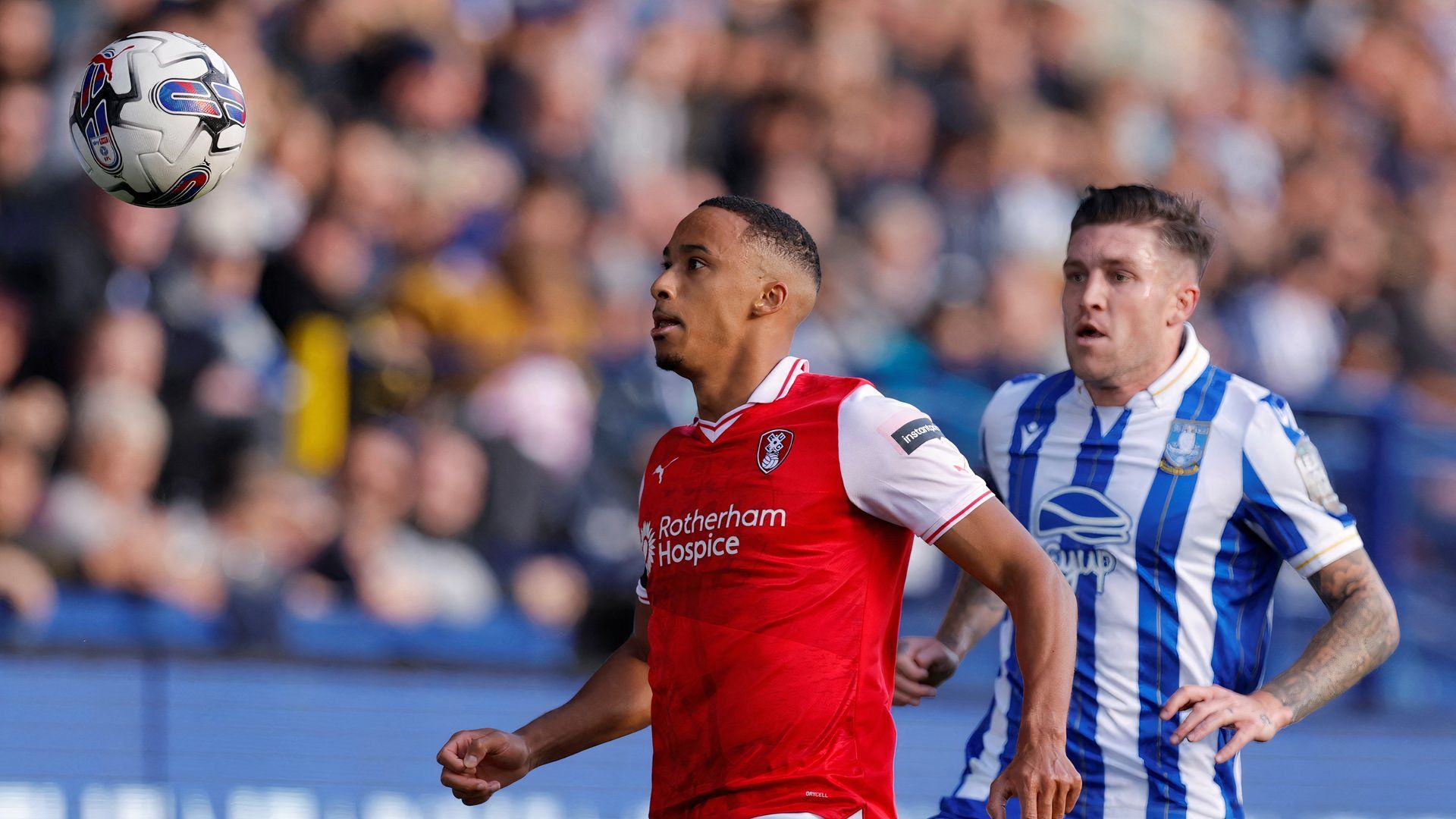 "Strange one" - Hull City told to reconsider interest in Sheffield ...