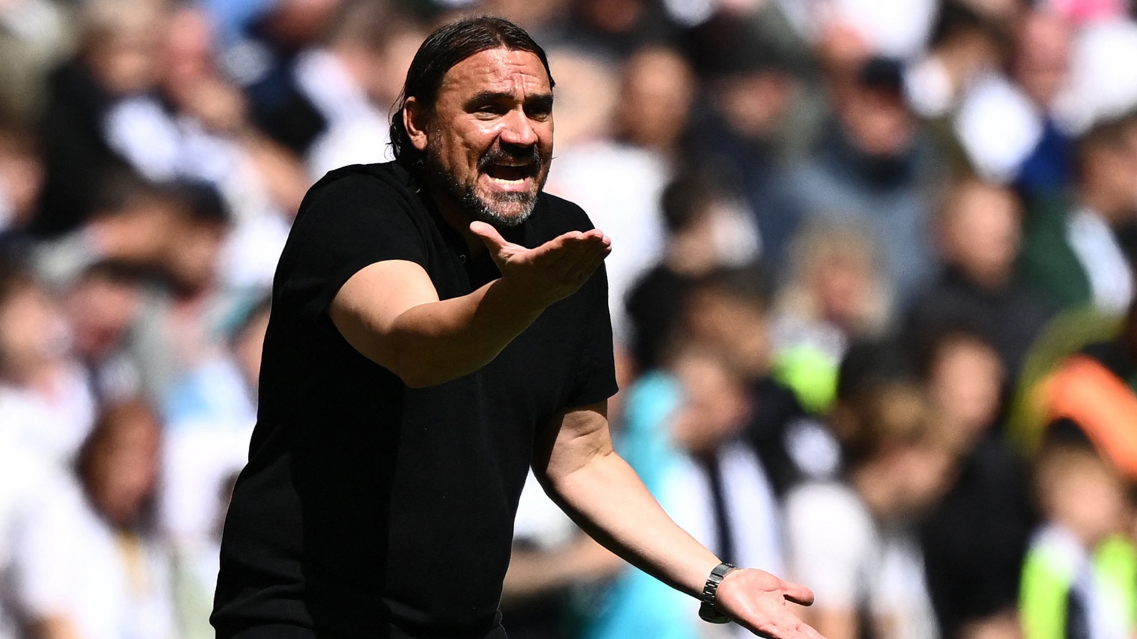 Leeds United: Commentator issues Red Bull ownership warning