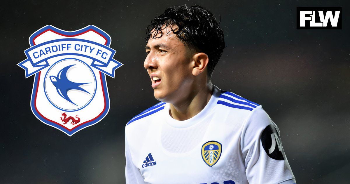 "A great signing" - Cardiff City backed to sign ex-Leeds United man Ian ...