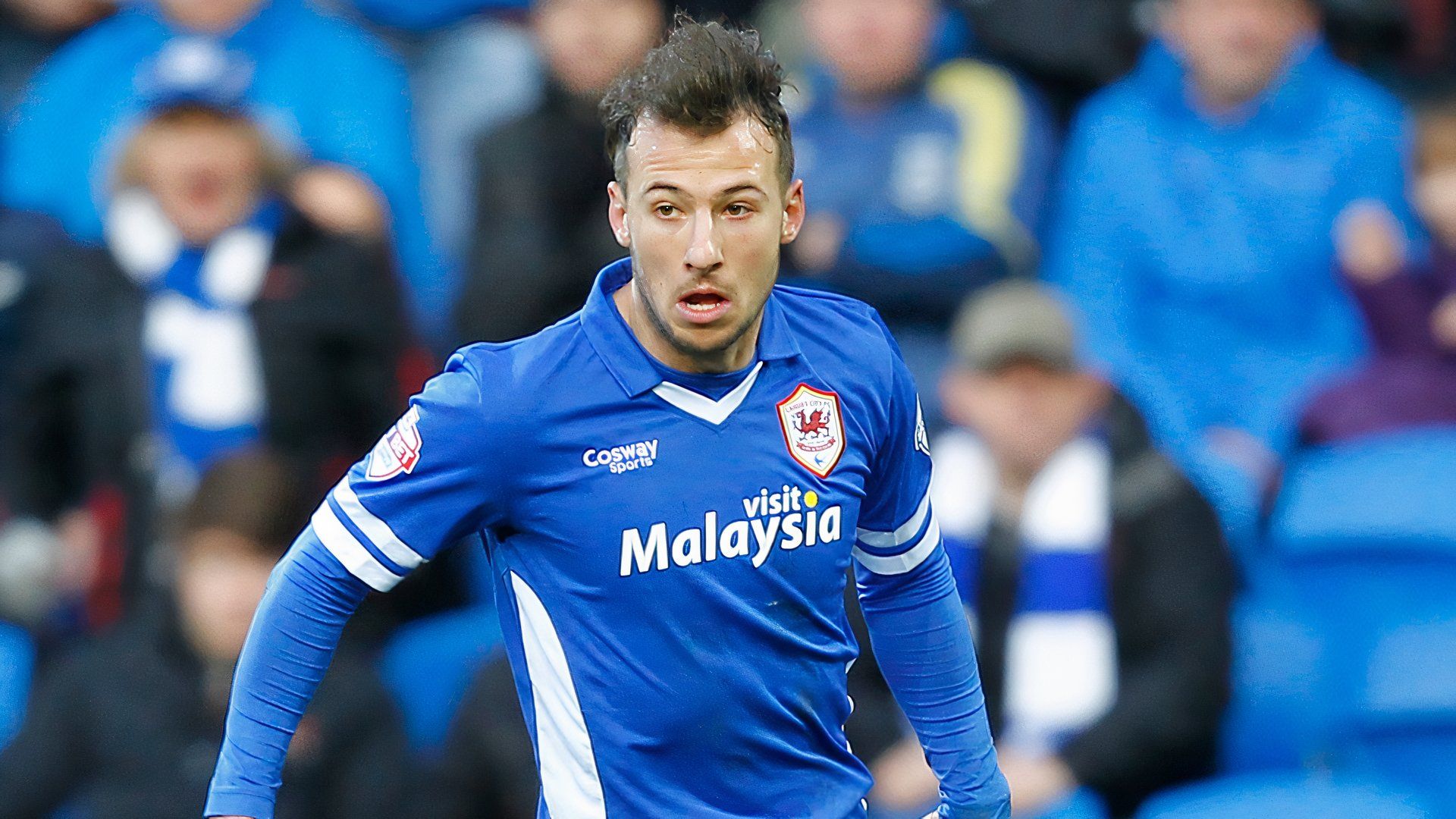 Cardiff City never got what Reading FC did with Adam Le Fondre