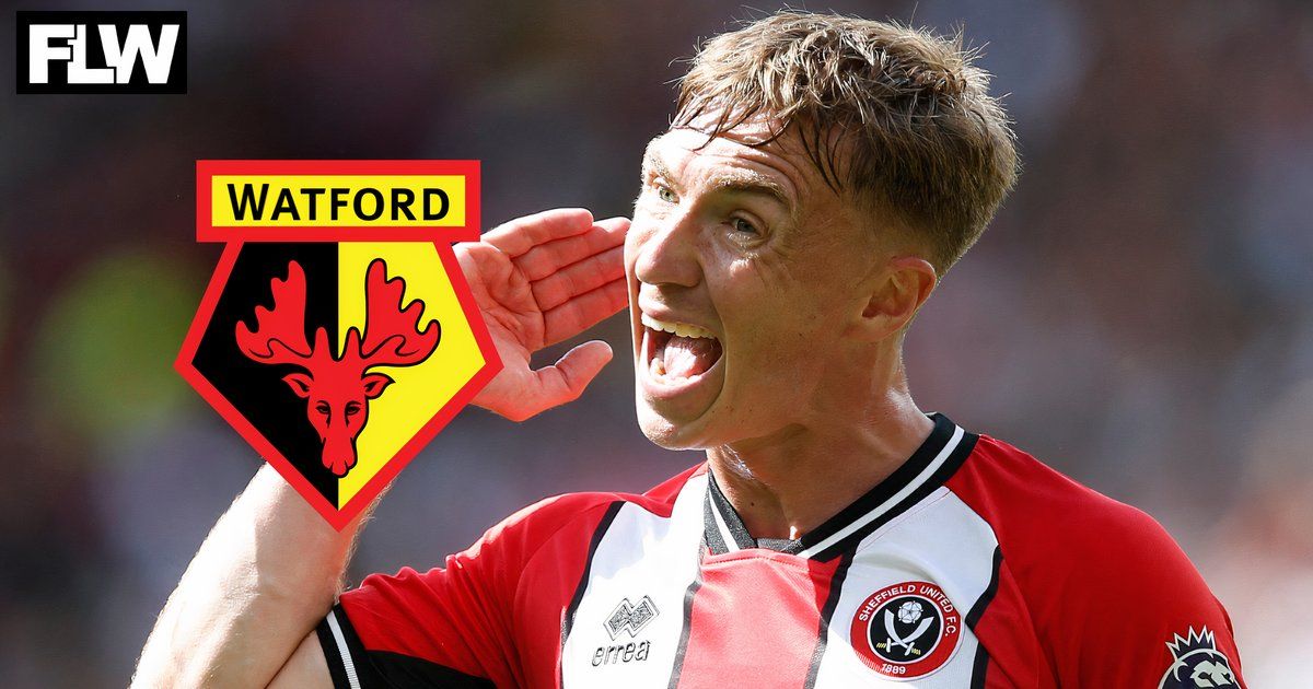 "Intrigues me" - Watford told to push on and sign Sheffield United's ...