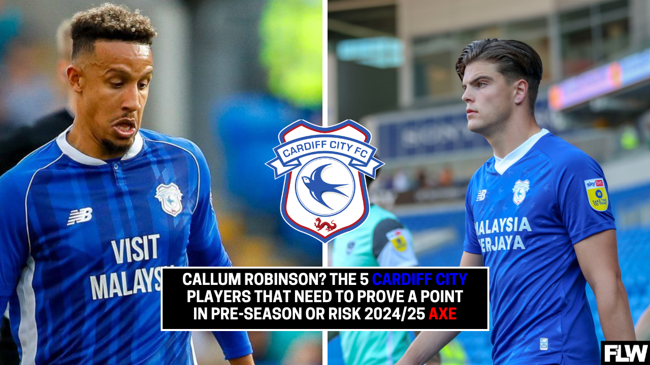 Callum Robinson? The 5 Cardiff City players that need to prove a point ...