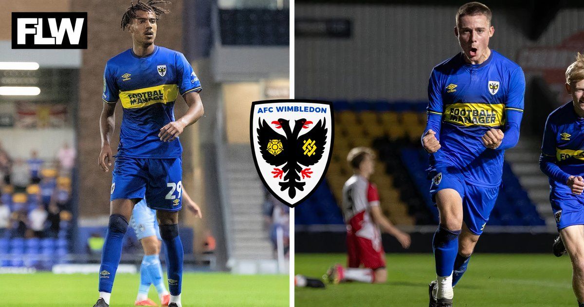 Aron Sasu leaves: 2 players AFC Wimbledon should loan out this summer