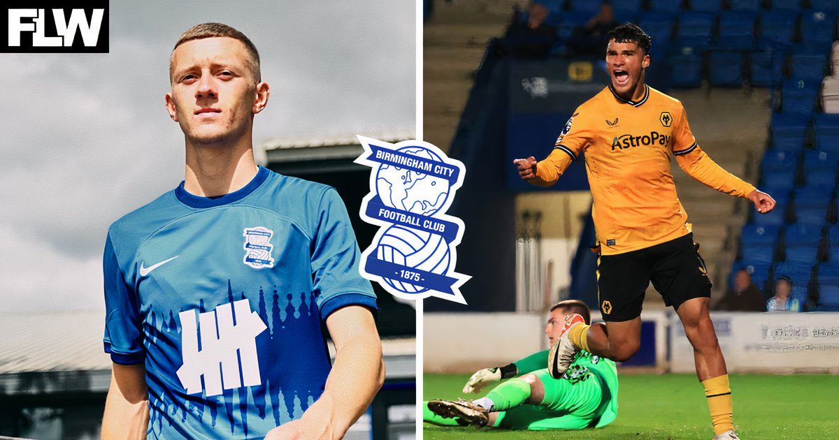 Birmingham City should turn to Wolves' Nathan Fraser for ideal Jay ...