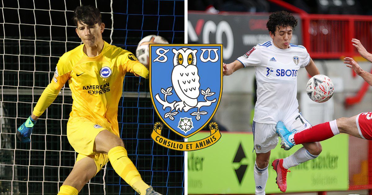 James Beadle and Ian Poveda transfers can help Sheffield Wednesday push ...