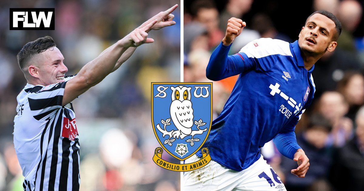 Sheffield Wednesday: Langstaff, Sheehan, Al-Hamadi among shrewd options