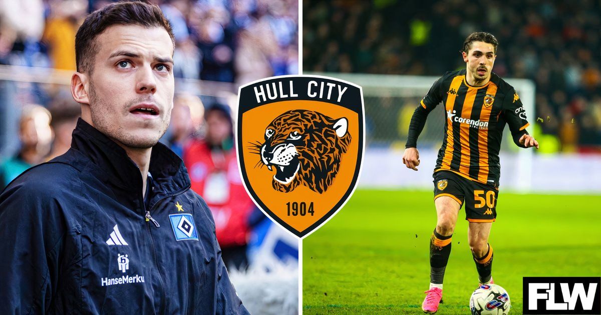Hull City: Tim Walter must emulate Hamburg SV midfield success with ...