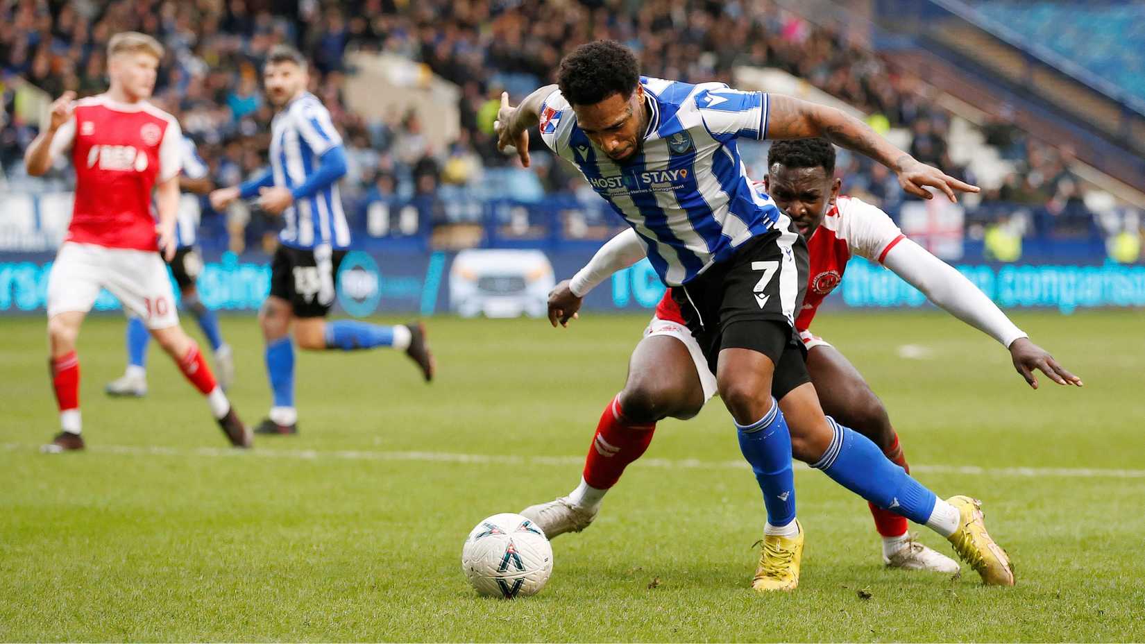 How Mallik Wilks is getting on in Türkiye after Sheffield Wednesday ...