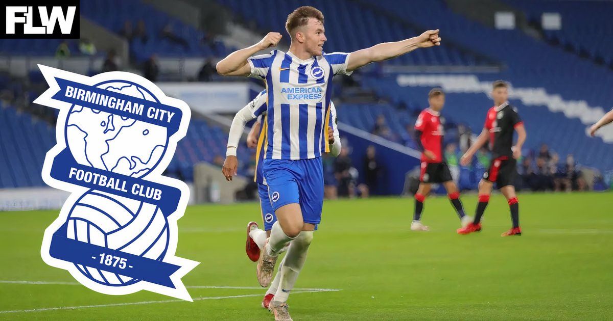 "A snip" - Birmingham City urged to secure £300k Marc Leonard deal