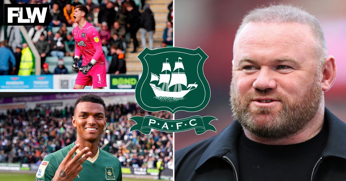 Plymouth Argyle: Michael Cooper, Morgan Whittaker situations on Wayne ...