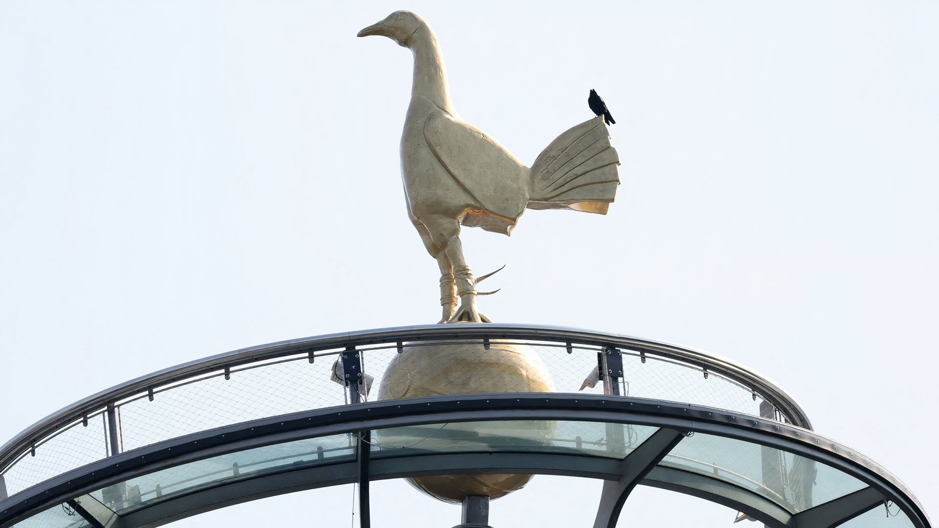 Cardiff City's Ollie Tanner gamble could prove a coup off Bristol City ...