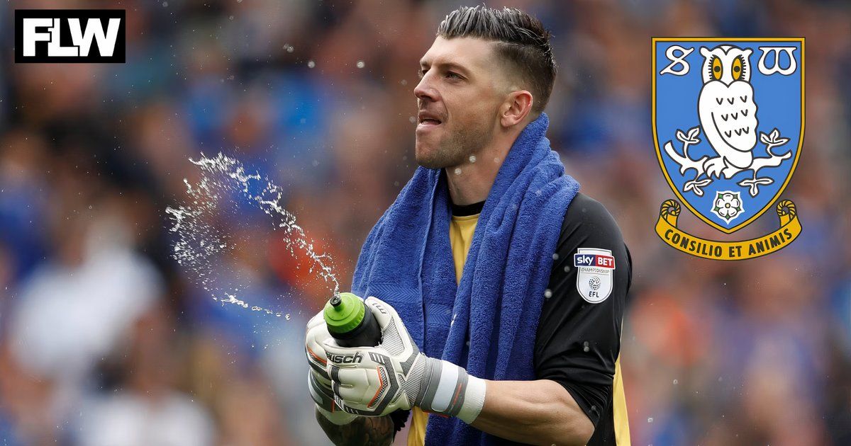 Sheffield Wednesday landed a Championship great in signing Keiren Westwood