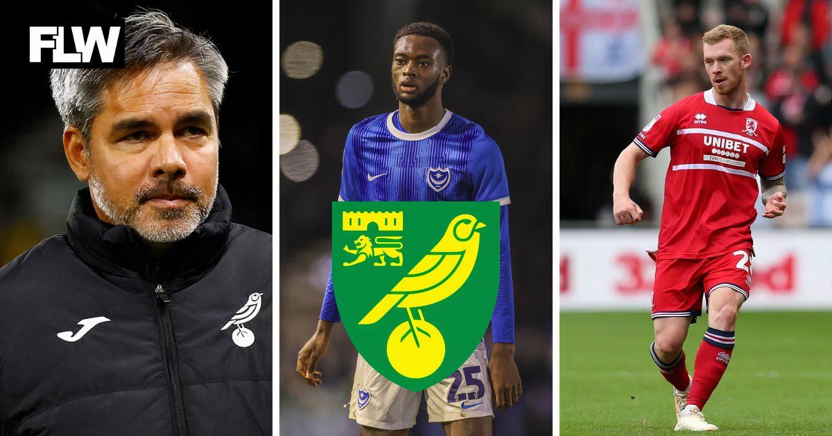 Norwich City latest: Next David Wagner job, Abu Kamara situation, Lewis ...