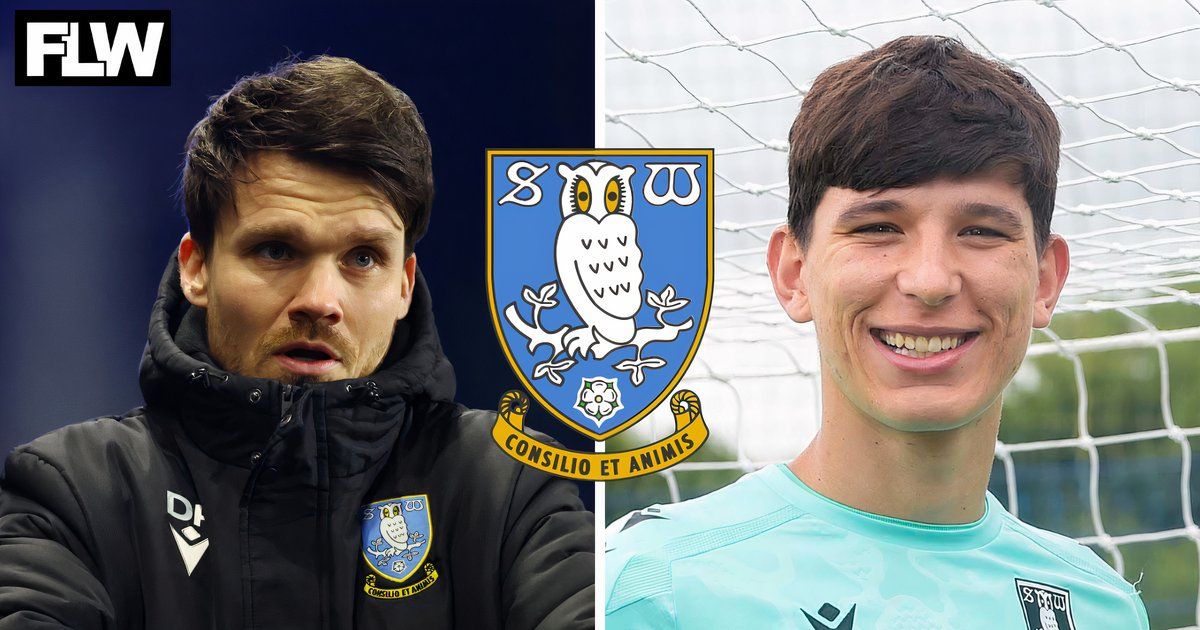 Danny Rohl gives exciting prediction on new Sheffield Wednesday signing ...