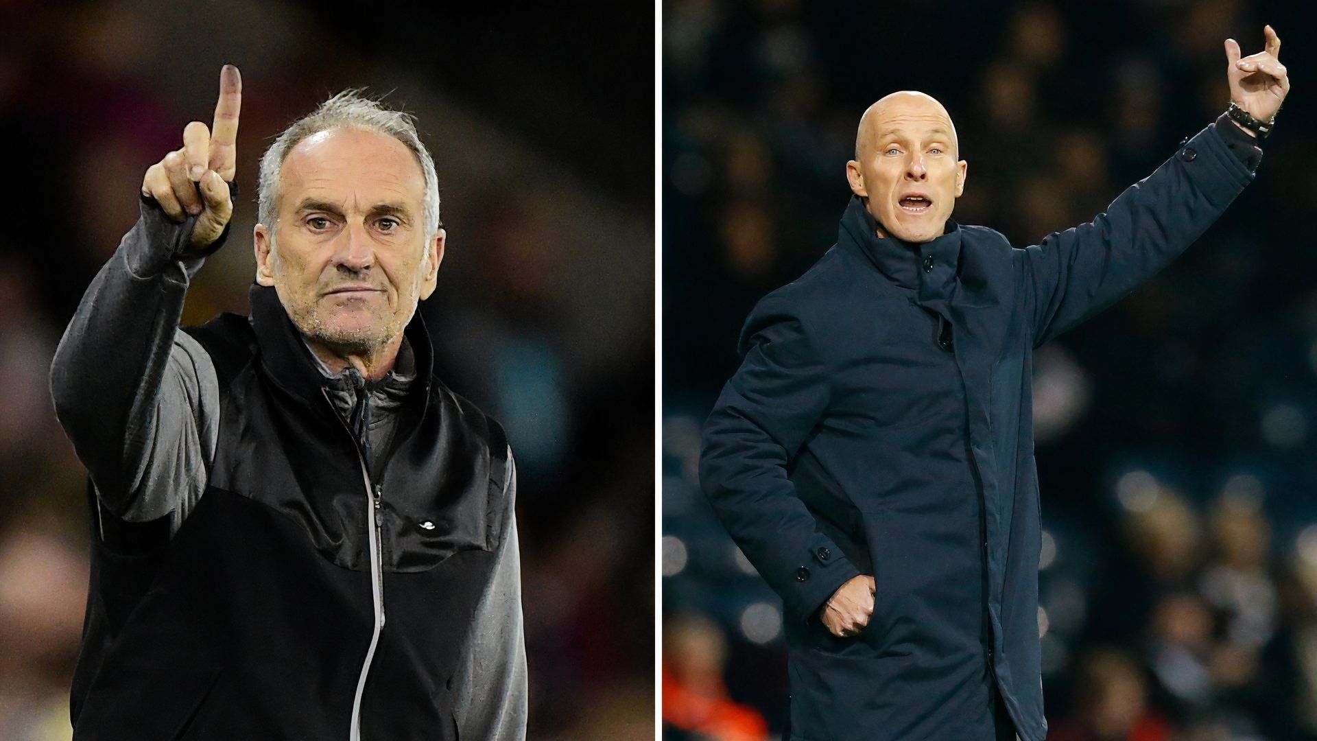Swansea City will regret replacing Francesco Guidolin with Bob Bradley