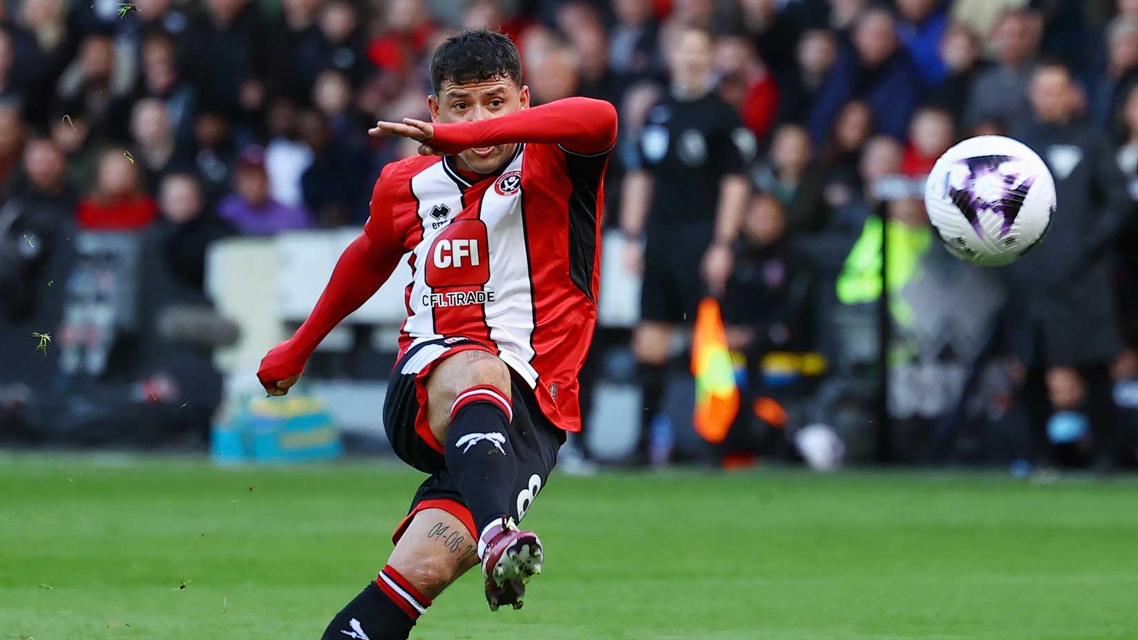 Sheffield United: New Gus Hamer exit twist after Wolves links