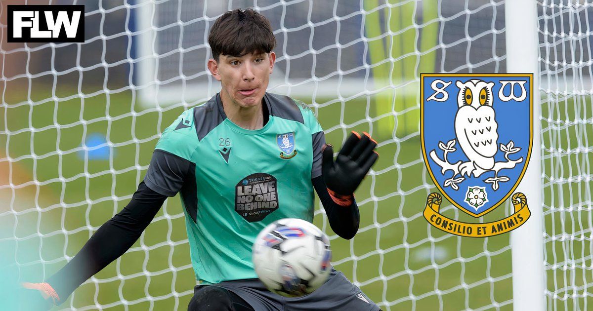 Sheffield Wednesday: January reveal concerning Brighton, James Beadle transfer