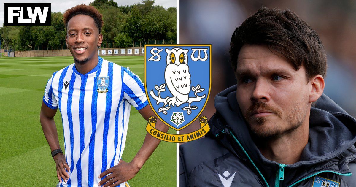 Jamal Lowe reveals Danny Rohl factor that made him to join Sheffield ...