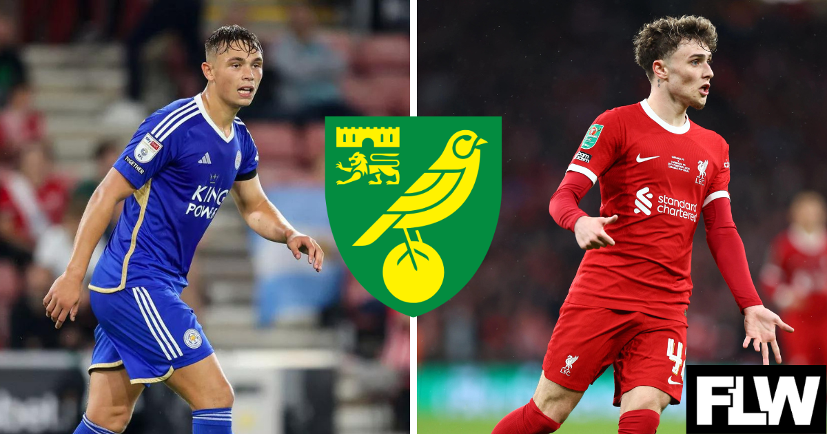 Premier League players that Norwich City could sign ft Callum Doyle