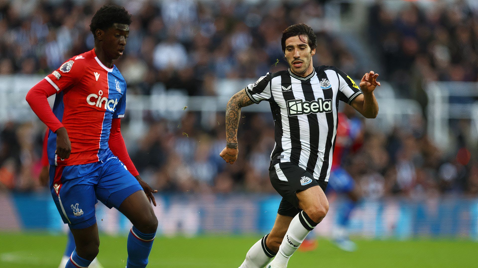 "I expect" - Sheffield United: Chris Wilder backed to make Jesurun Rak ...