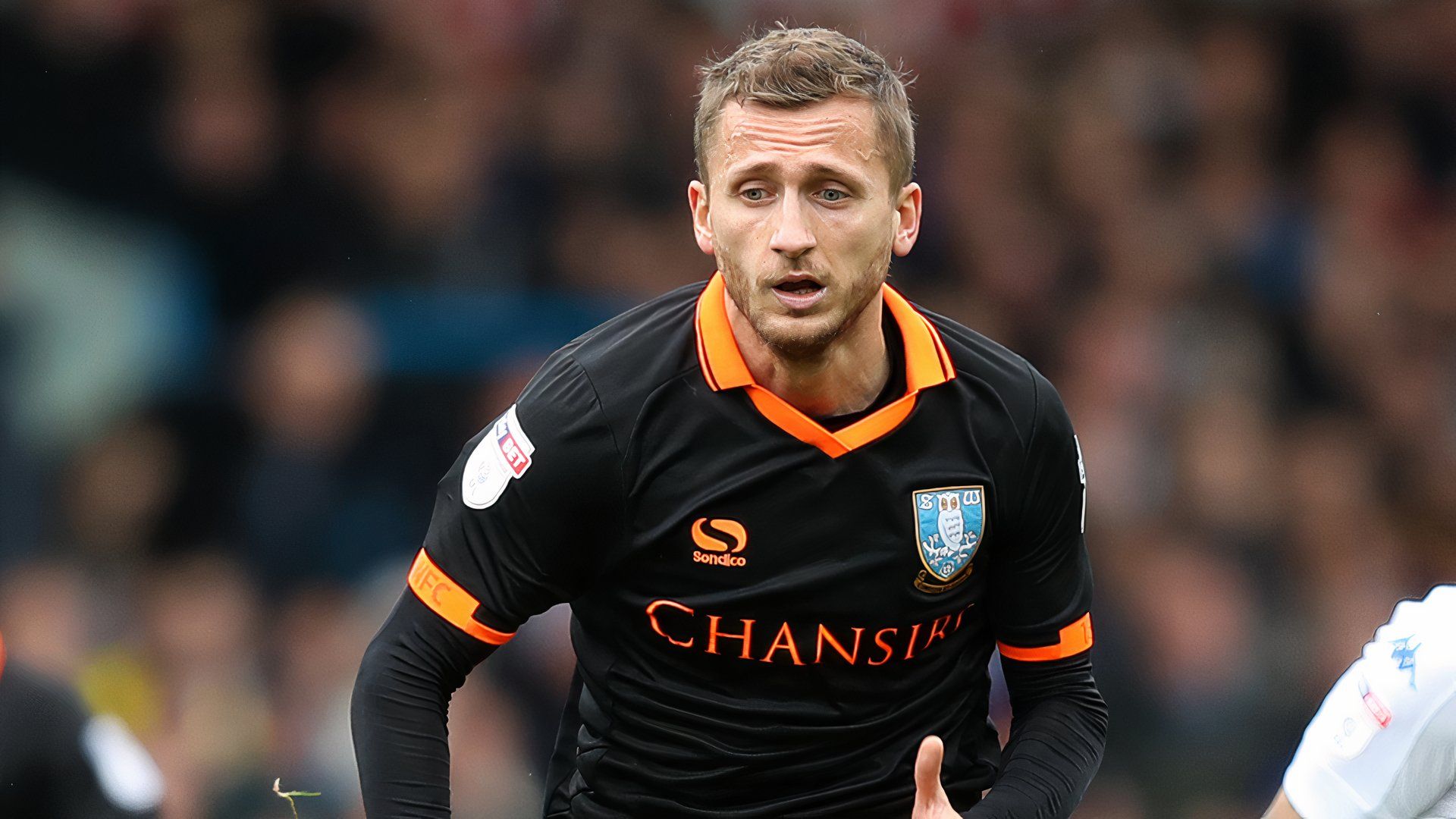 Sheffield Wednesday: Mixed feelings about Daniel Pudil and Almen Abdi ...