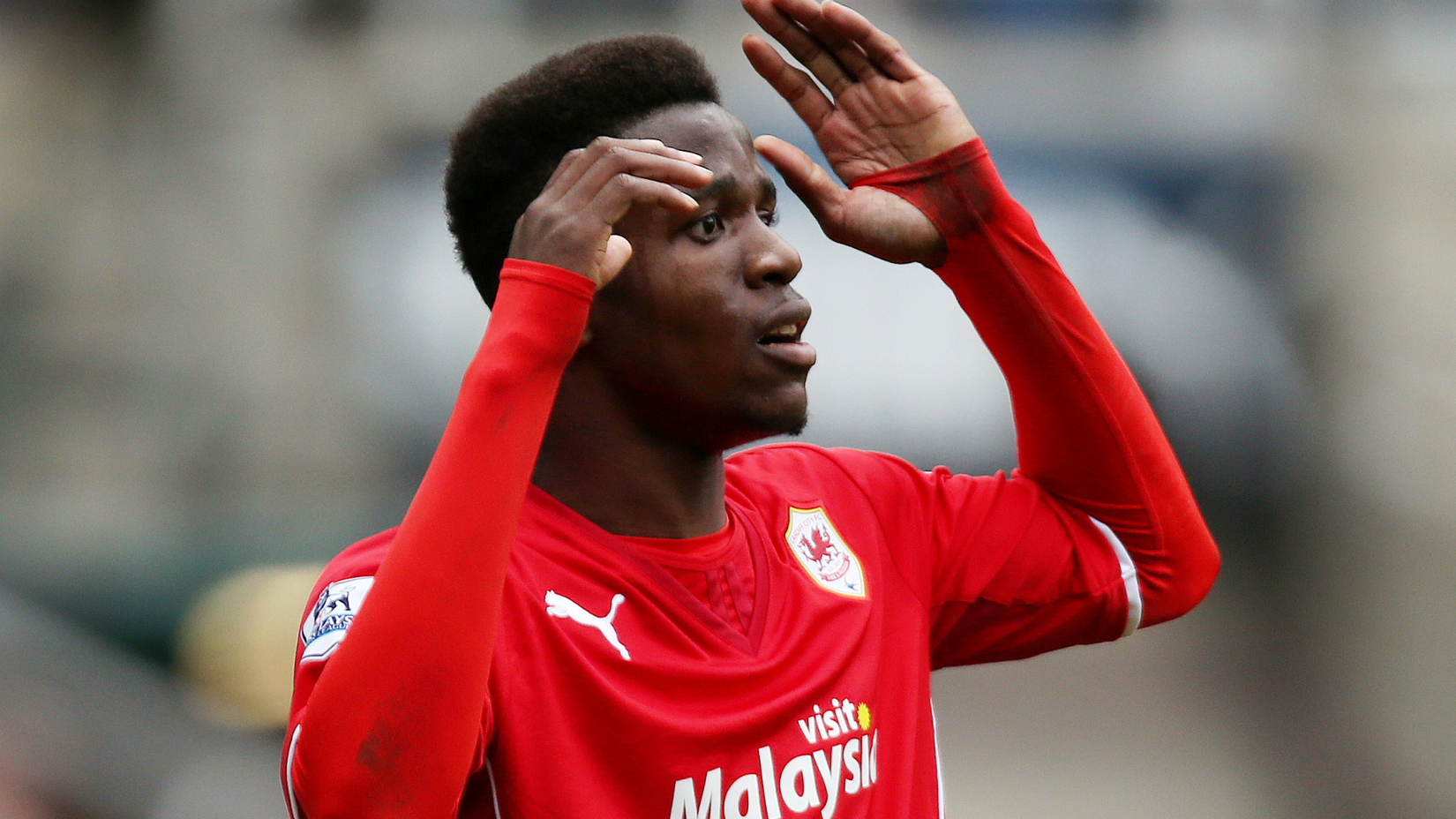 Cardiff City’s Man Utd transfer nightmare: Ole Gunnar Solskjaer blamed ...