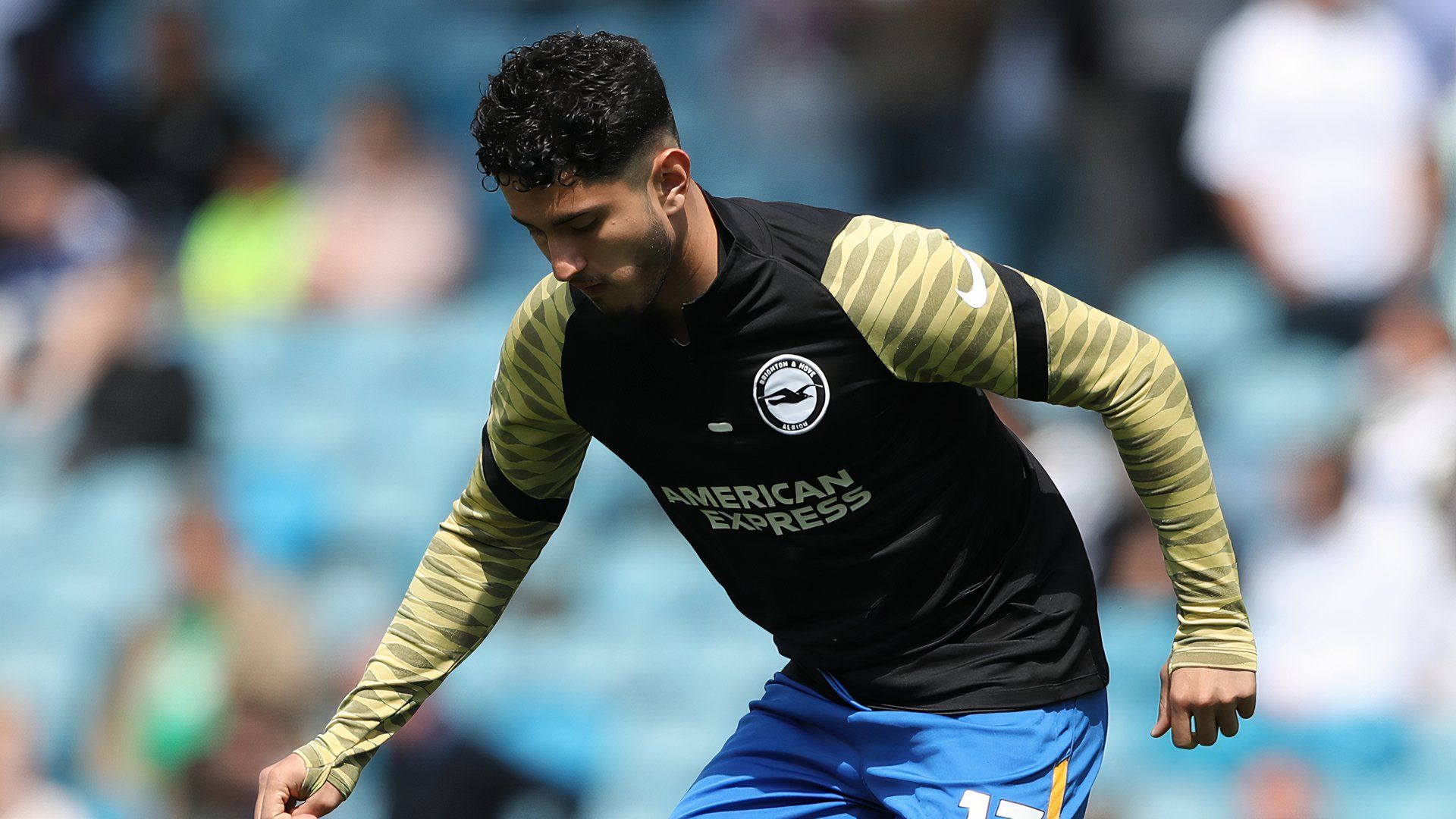 Hull City set to sign ex-Brighton and Hove Albion player Steven Alzate