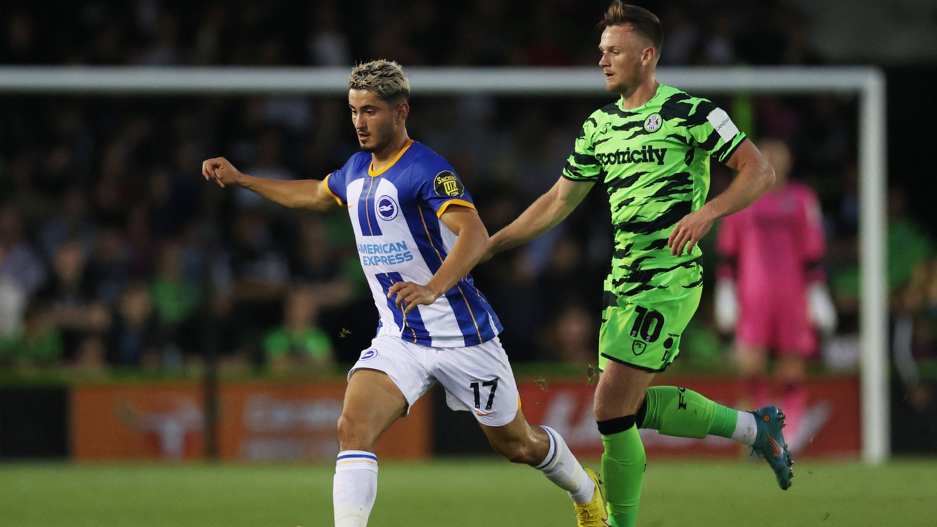 Hull City set to sign ex-Brighton and Hove Albion player Steven Alzate