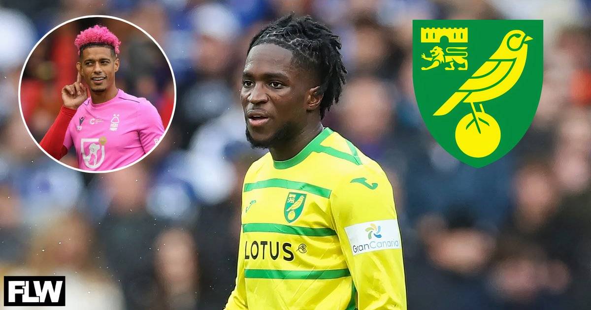 Norwich City: Ex-Charlton striker Lyle Taylor backs Jon Rowe over ...