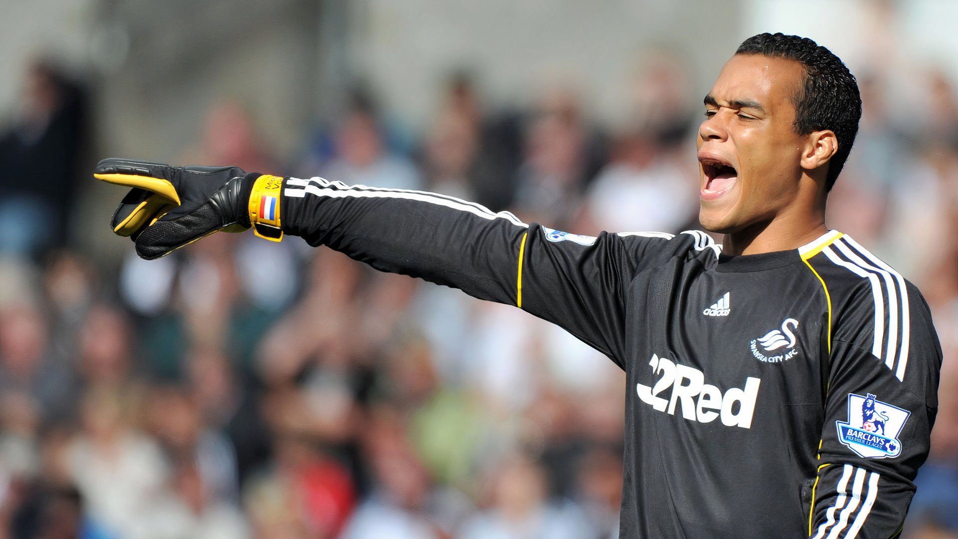 Michel Vorm tells Swansea City & Luke Williams hurdle to be play-off ...