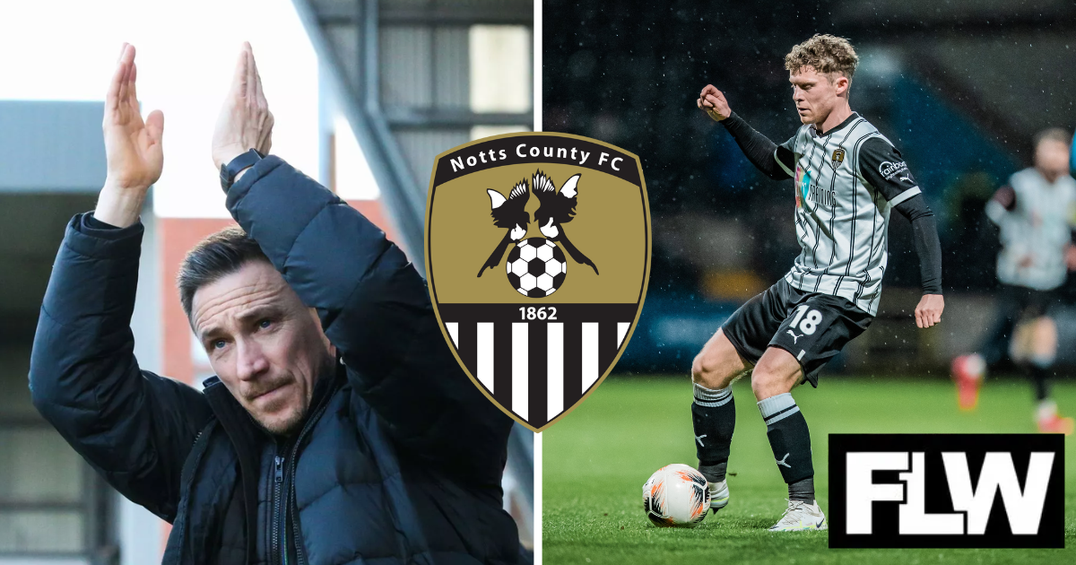 Matty Palmer's return could be better than a new signing for Notts County