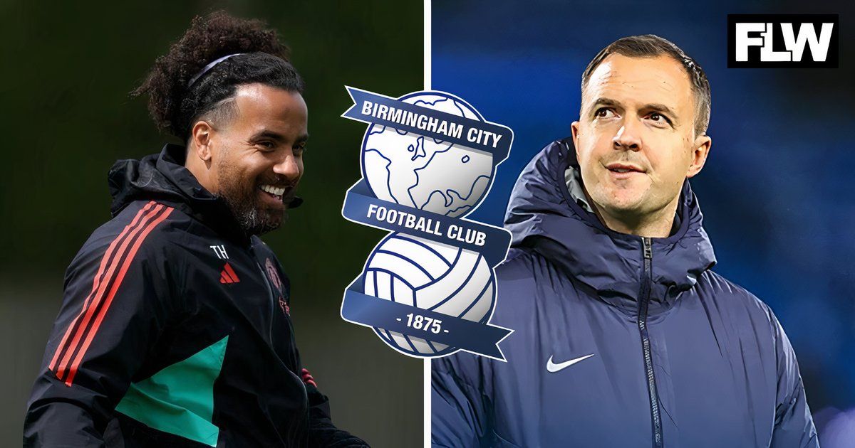 Chris Davies reacts to Birmingham City's Tom Huddlestone appointment