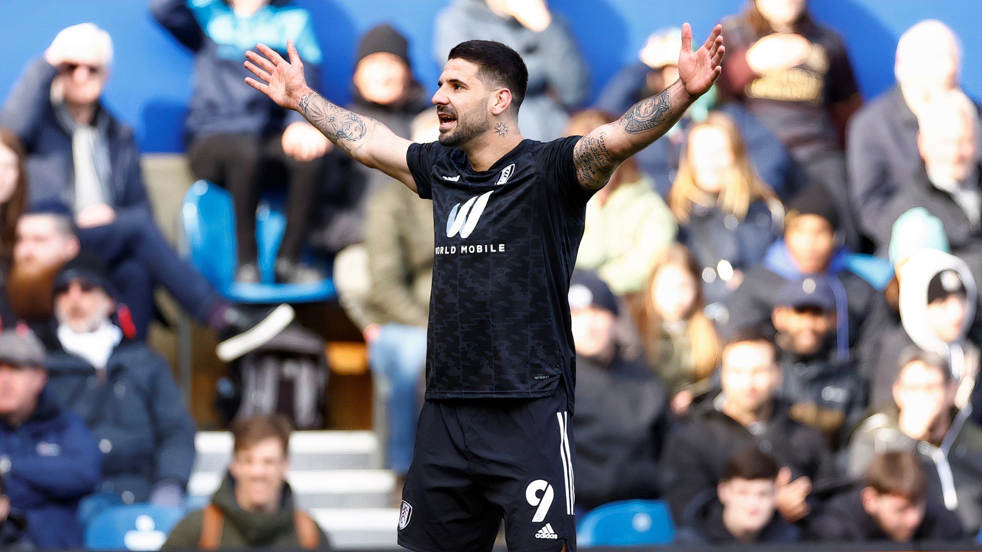 Fulham knew Newcastle, Aleksandar Mitrovic signing was genius