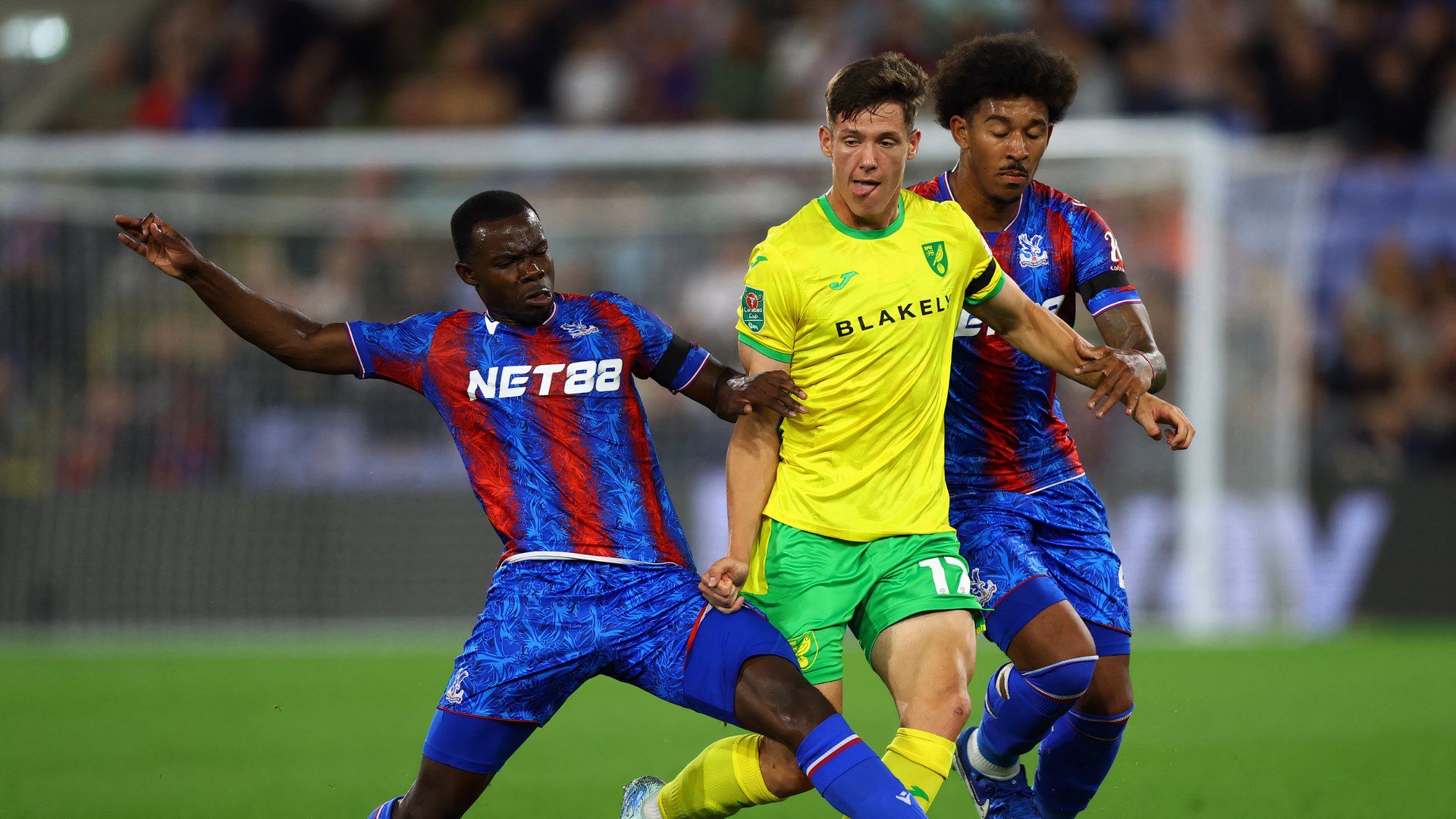 Potential Borja Sainz exit at Norwich City can be eased by Ante Crnac