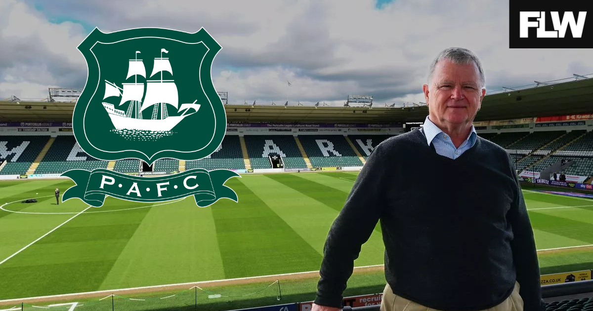 What was Plymouth Argyle owner Simon Hallett doing before he joined the ...