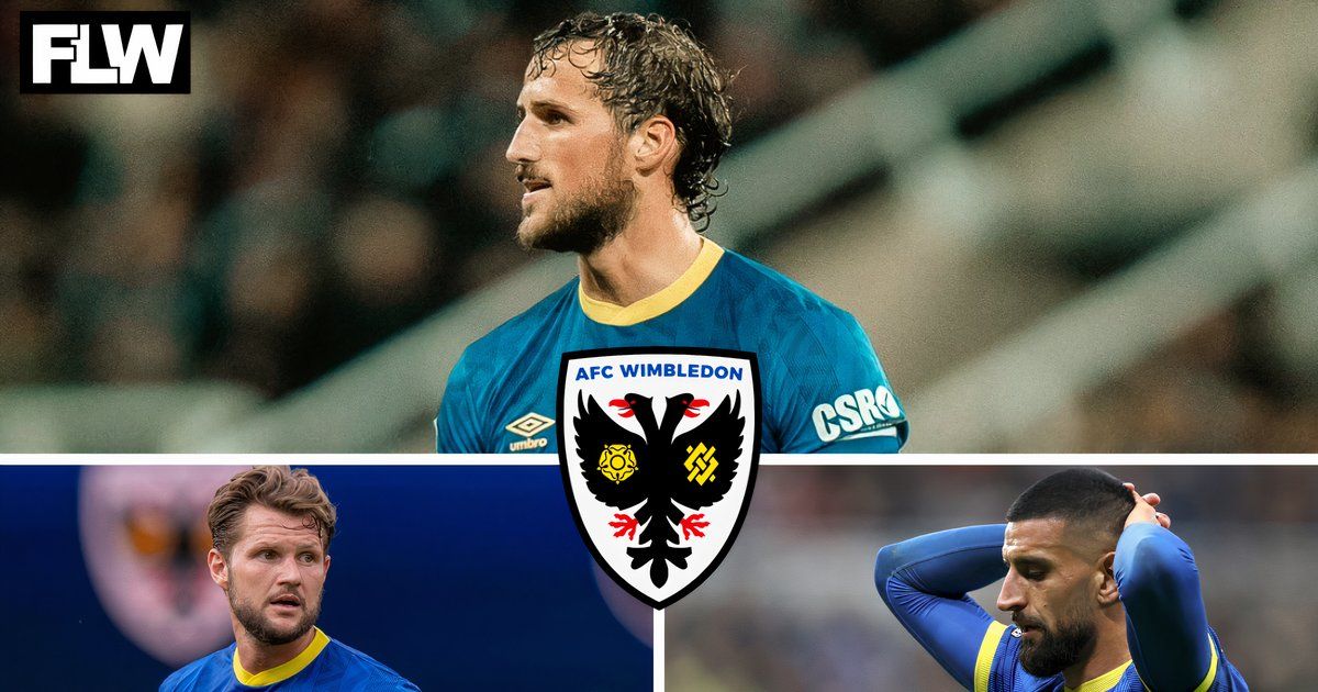 AFC Wimbledon: Joe Lewis is Johnnie Jackson's key cog in promotion-hunt