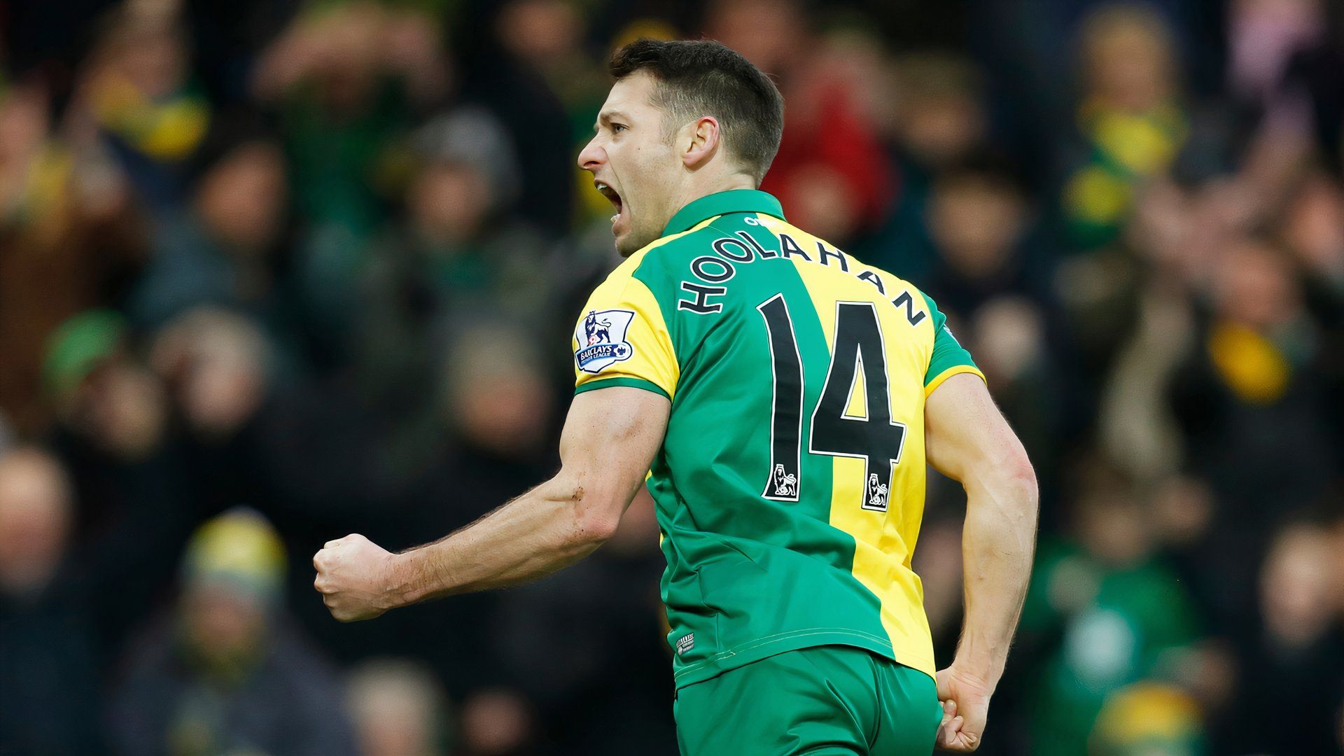 Norwich City struck gold with Wes Hoolahan who returned to football ...