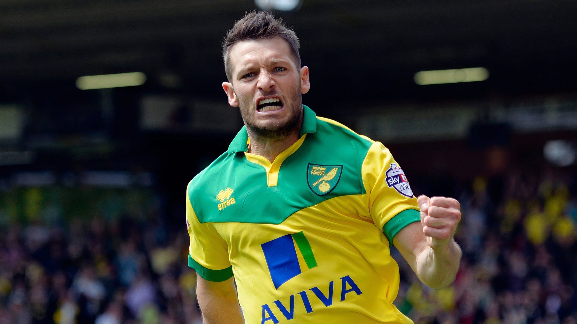 Norwich City struck gold with Wes Hoolahan who returned to football ...