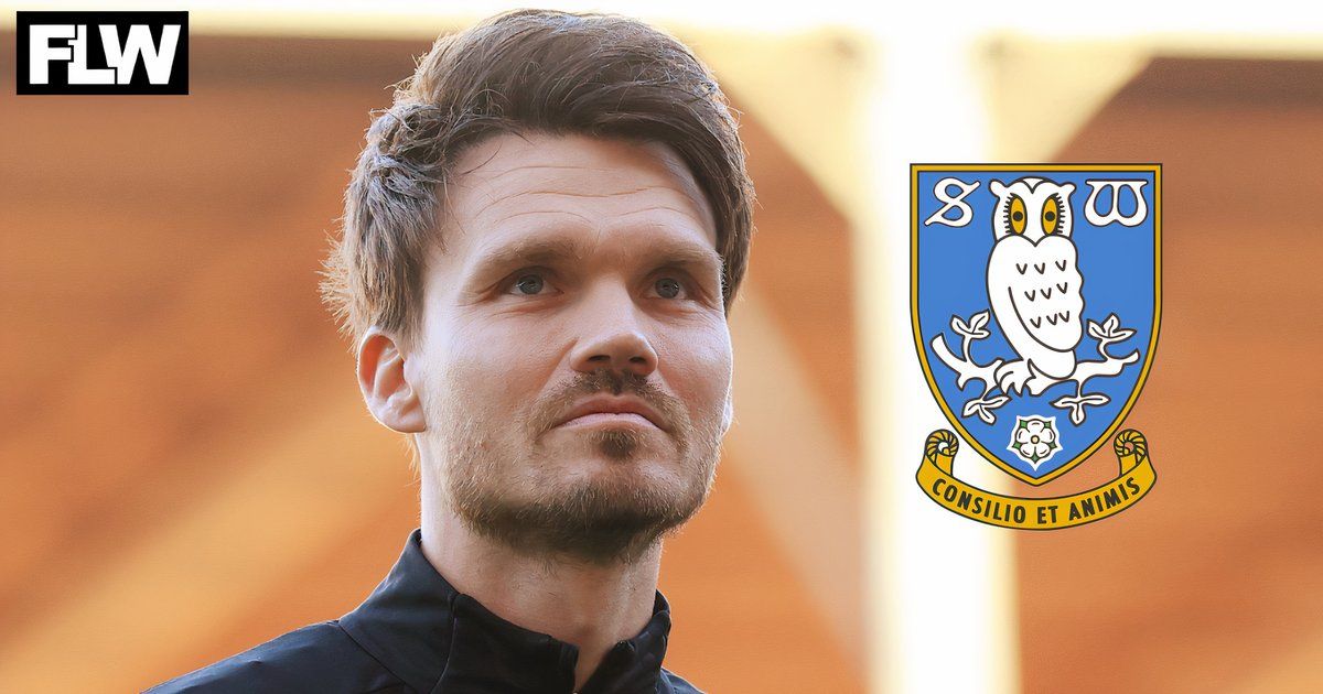 "Danny Rohl will be looking to act" - Sheffield Wednesday transfer ...